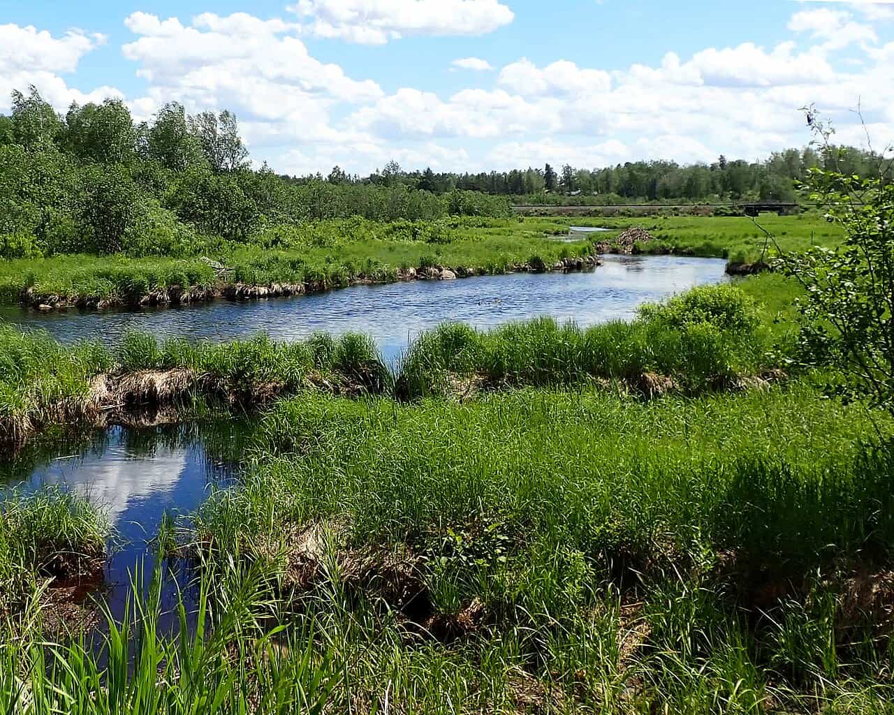 Animals and Wildlife in Manitoba - Animals Around The Globe