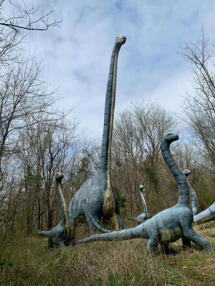 Discover the Fascinating World of Long-Neck Dinosaurs - Animals Around ...
