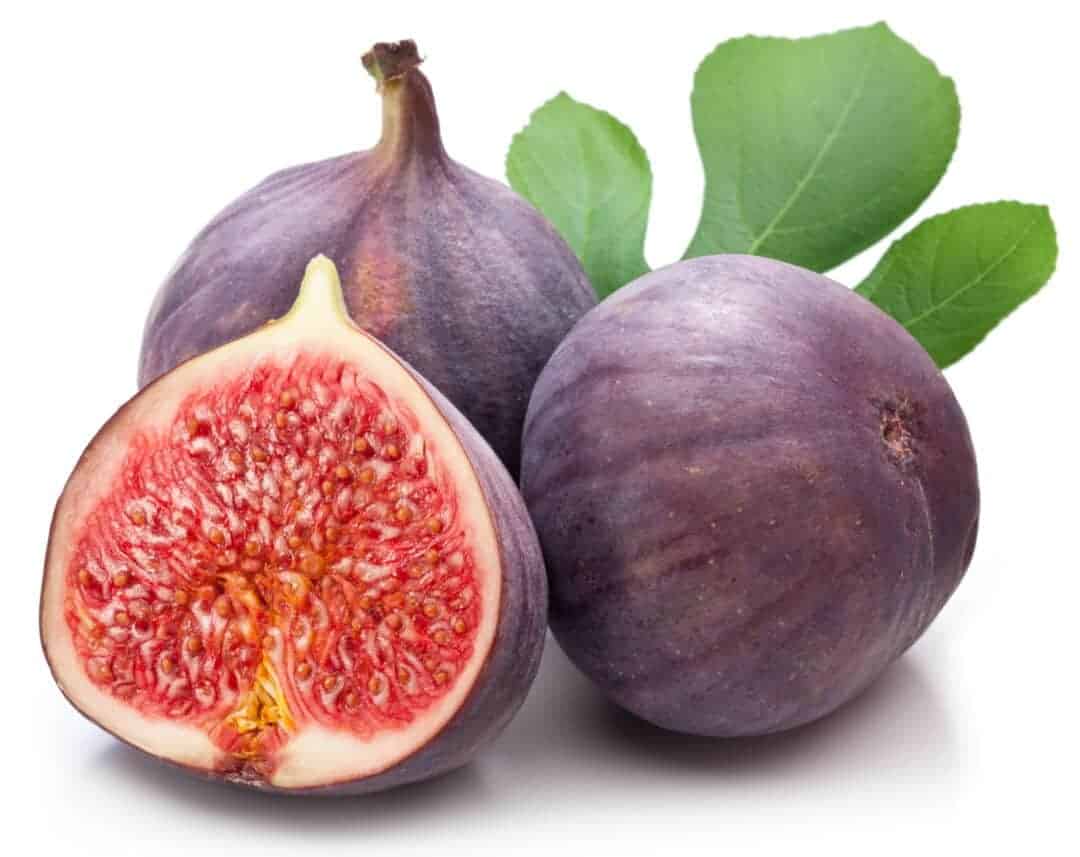 The Truth About Figs: Are You Actually Eating Wasps - Animals Around ...