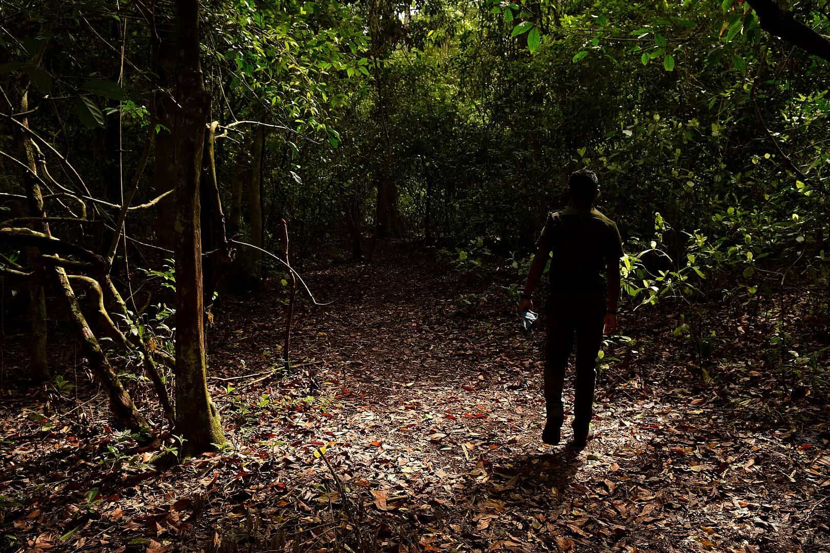 Forest Guard Protecting His Village Attaked by Leopard - Animals Around ...