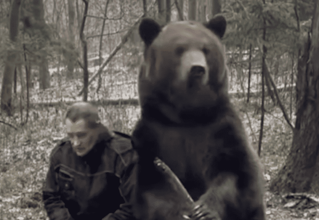 Man Gets Up Close and Personal With a Large Brown Bear - Animals Around ...