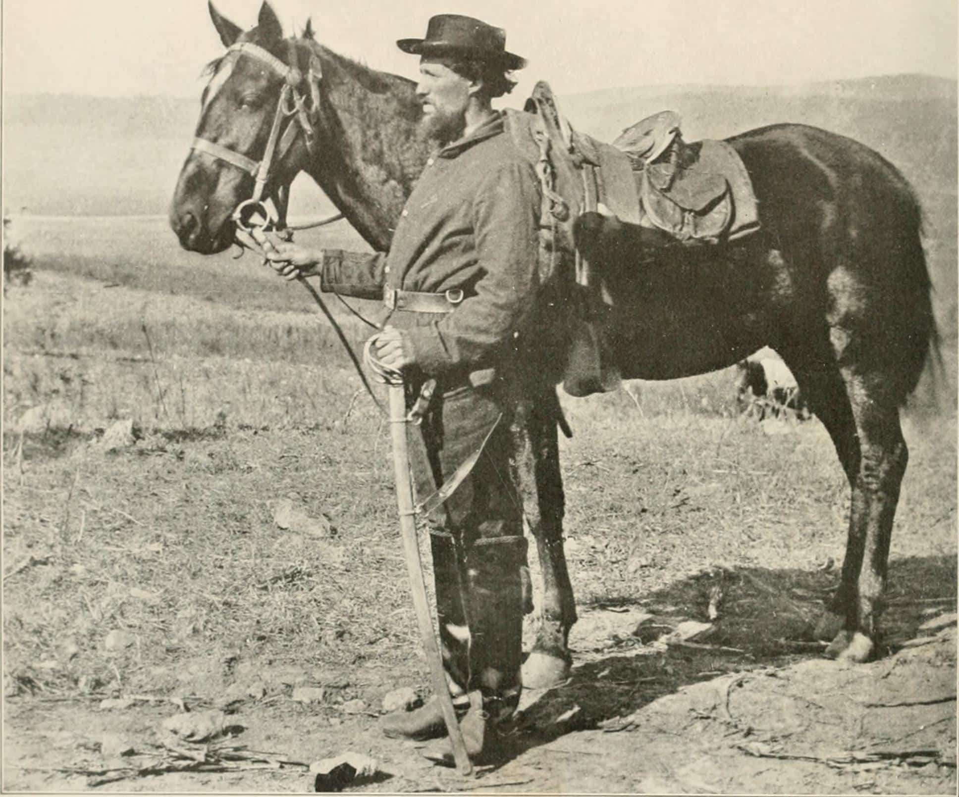 These Animals Are Unsung Heroes of The Civil War - Animals Around The Globe
