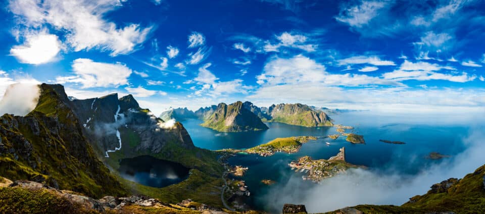 The Wonders of Norwegian Sea Life - Animals Around The Globe