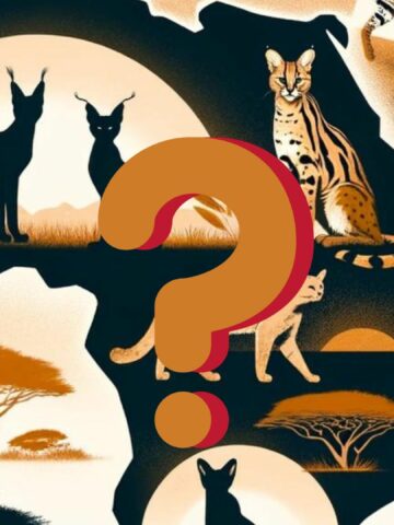 Breaking Animal News, Facts and Videos