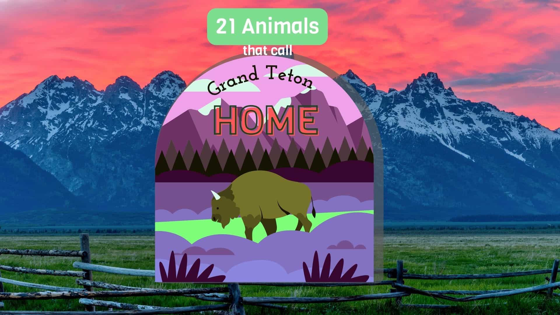 US Animal News - Animals Around The Globe