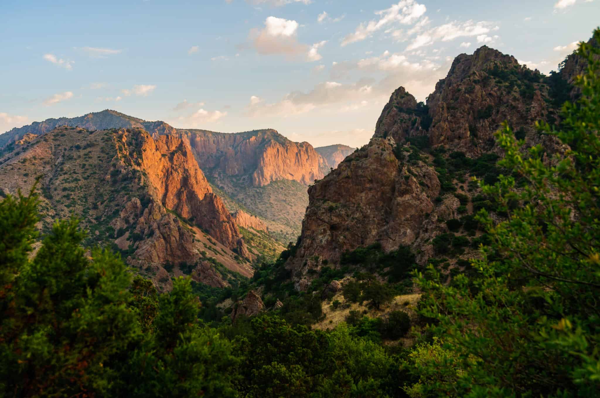 12 Places in America to Spot Rare Wildlife - Animals Around The Globe