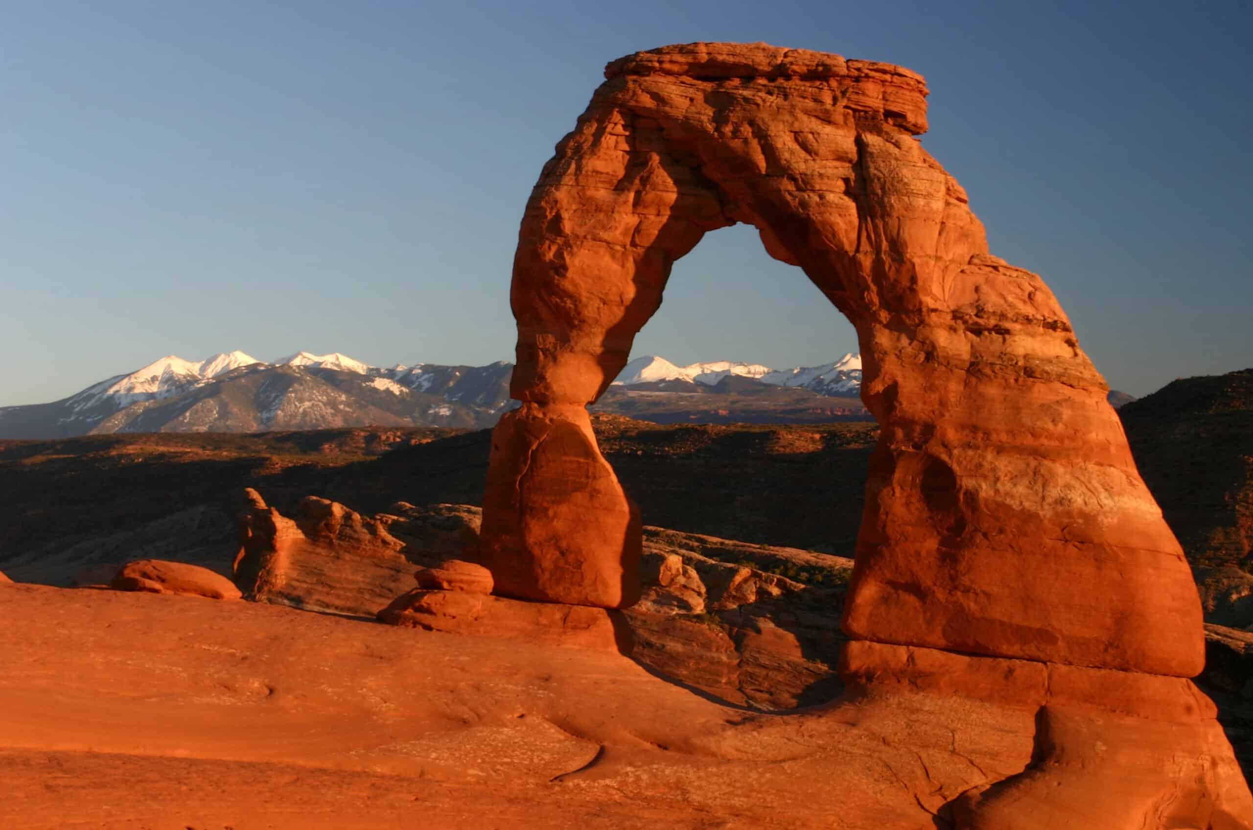 21 Animals That Call Arches National Park Home - Animals Around The Globe