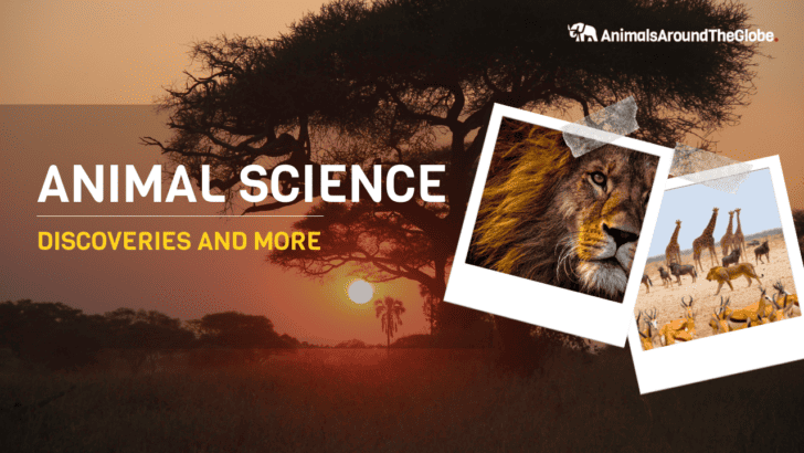Animal Science - News, Facts and Videos