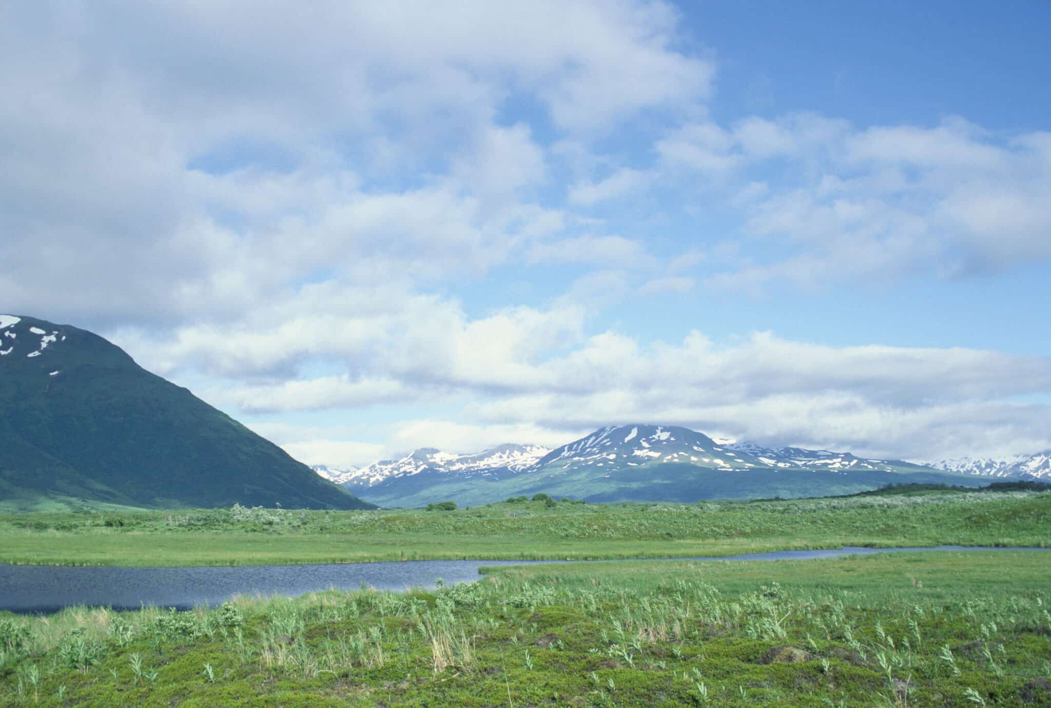 13 Places in America to Spot Rare Wildlife - Animals Around The Globe