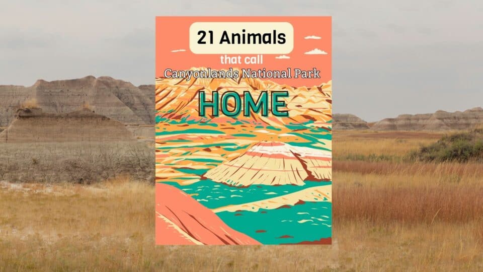 Breaking Animal News, Facts and Videos