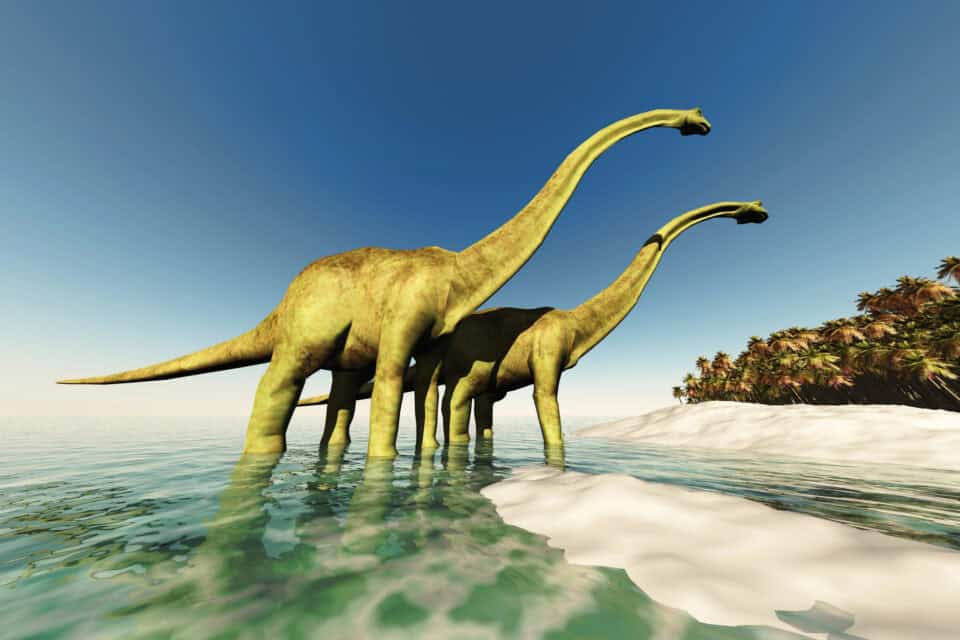 Discover the Fascinating World of Long-Neck Dinosaurs - Animals Around ...
