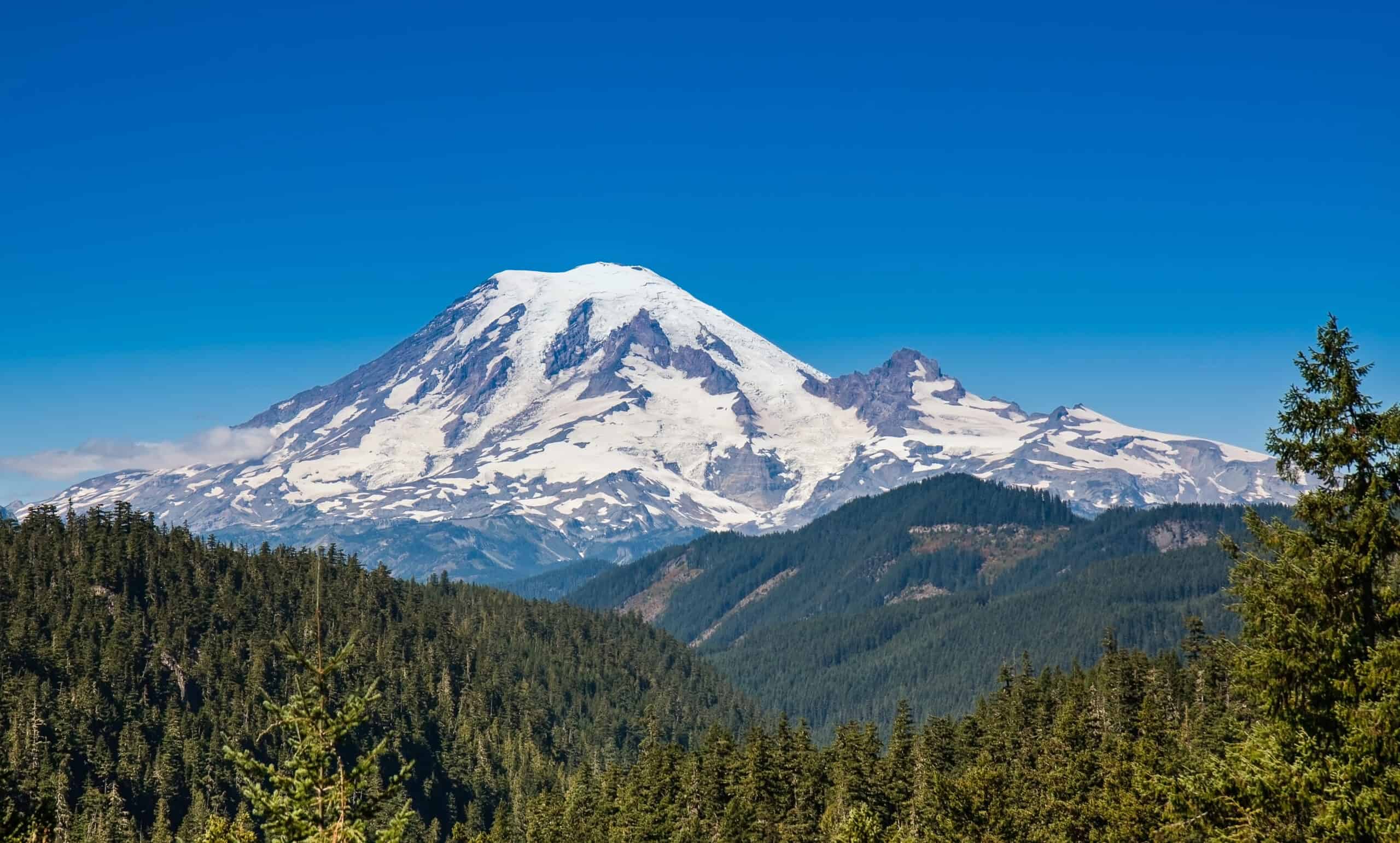 Animals That Call Mount Rainier National Park Home - Animals Around The ...