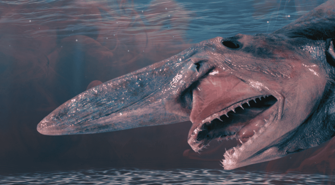 The 15 Most Dangerous Creatures Lurking in the Deep Ocean - Animals ...