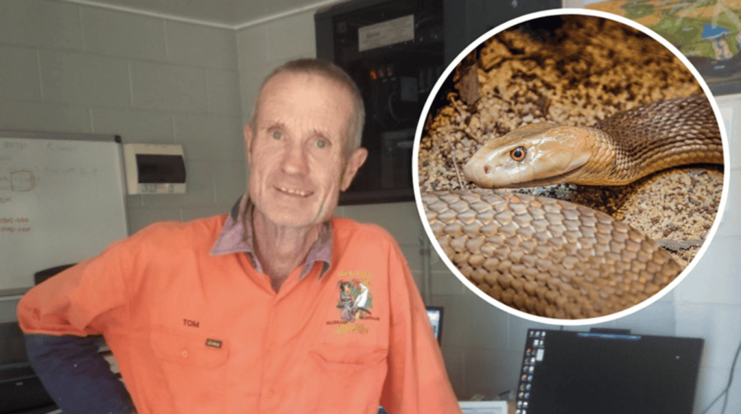 Lucky Farmer Survives Bite From The Worlds Most Venomous Snake (45 Min ...
