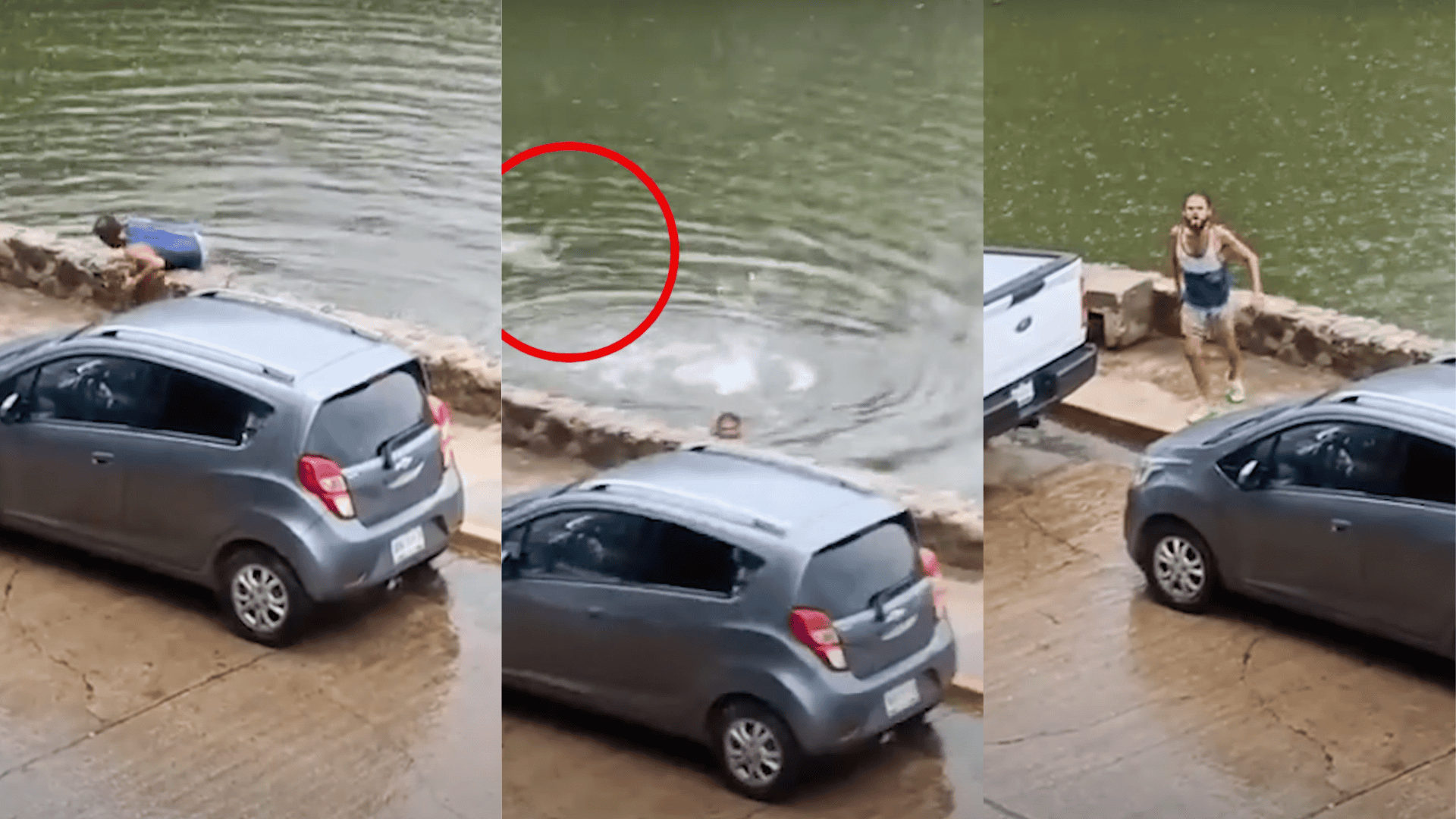 Swimmer Survives Unscathed From Large Crocodile Chase Across Lagoon In ...