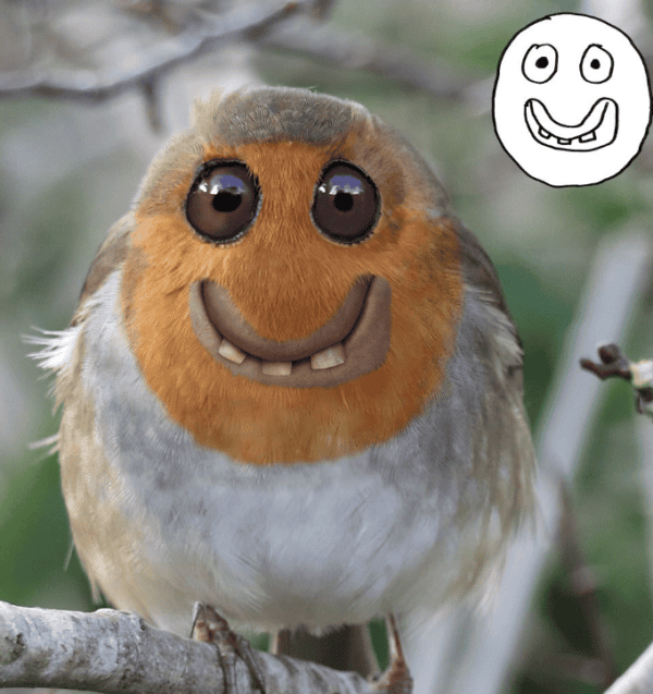 10 Hilarious Animal Drawings Recreated - AnimalsAroundTheGlobe