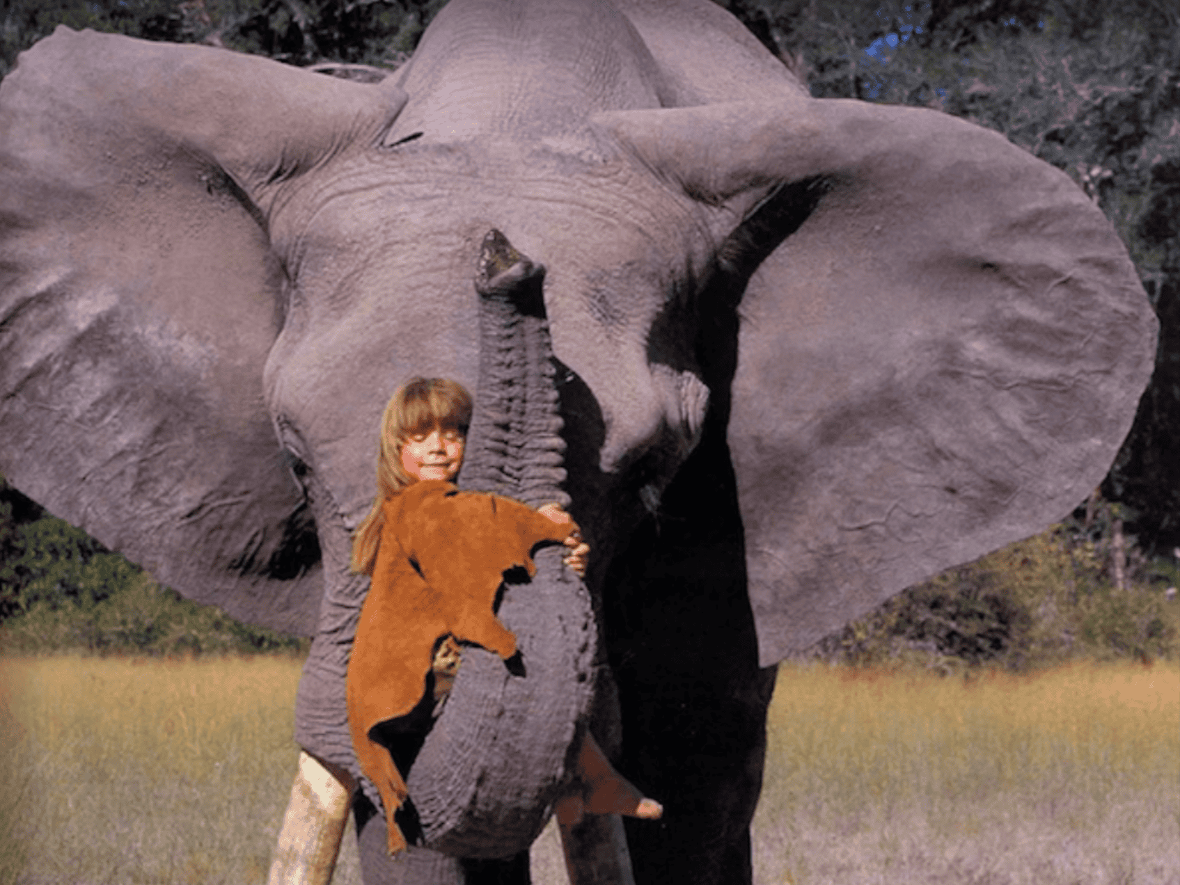 Tippi Degré, The Real-Life Mowgli - Animals Around The Globe