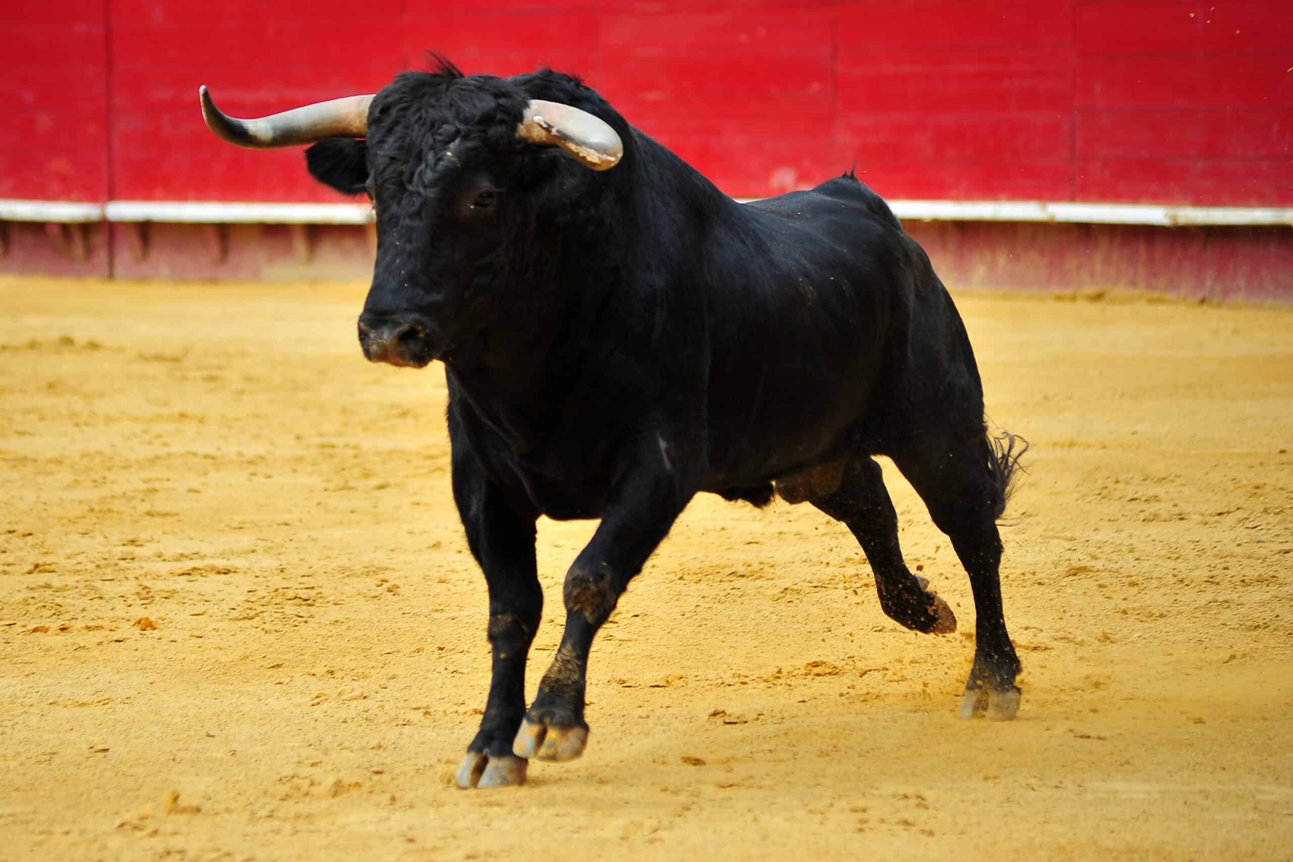 20 Animal Myths We Thought to Be True - 20 animal myths we thought to ...