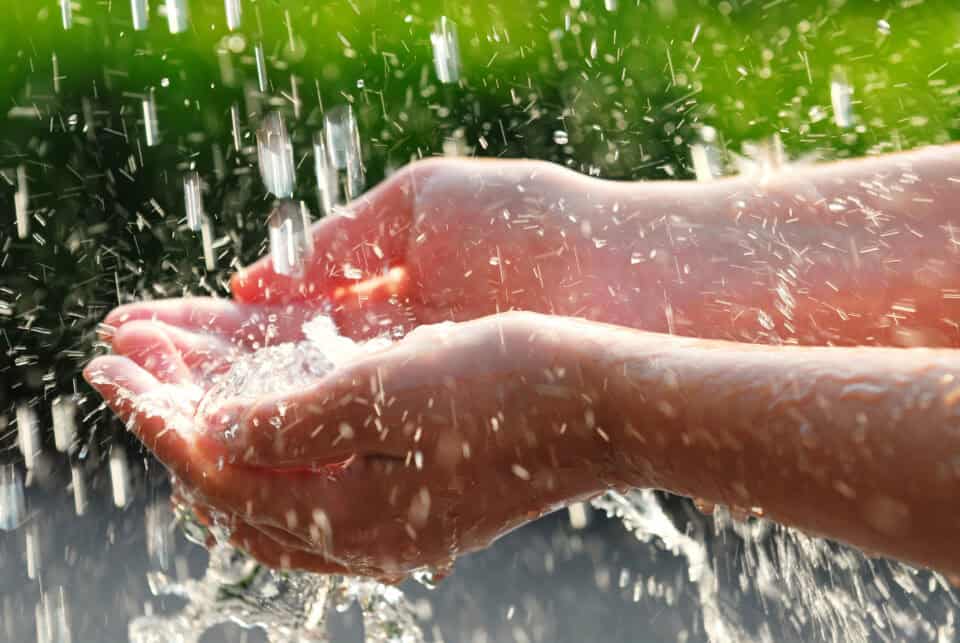 Understanding the Importance of Water Conservation - Animals Around The ...