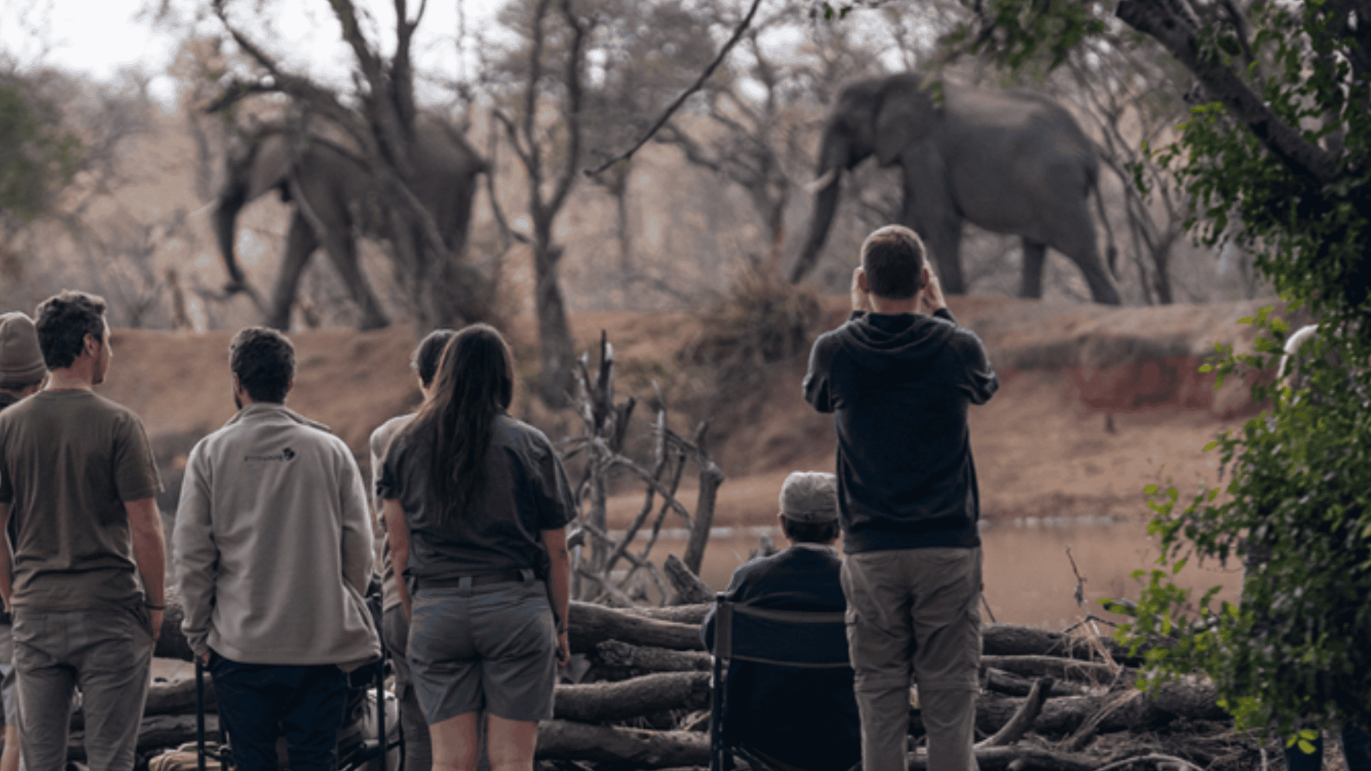The Hidden Dangers of Wildlife Tourism—Are You Accidentally Harming ...