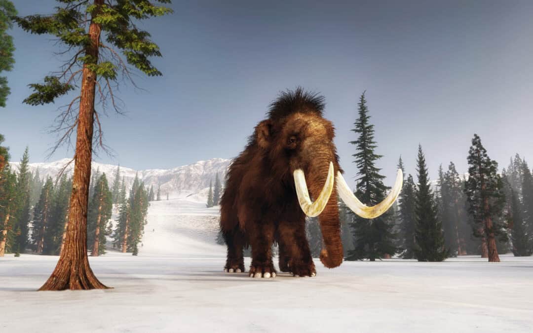 Scientists Are Reincarnating the Woolly Mammoth, Will Resurrect It in ...