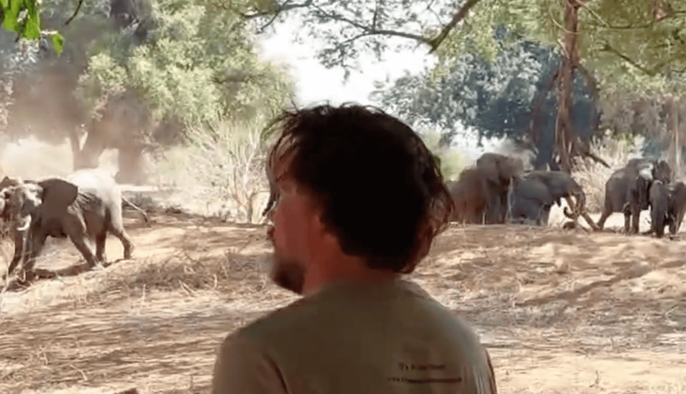 Angry Elephant Charges Safari Rangers And Turns At The Last Second ...