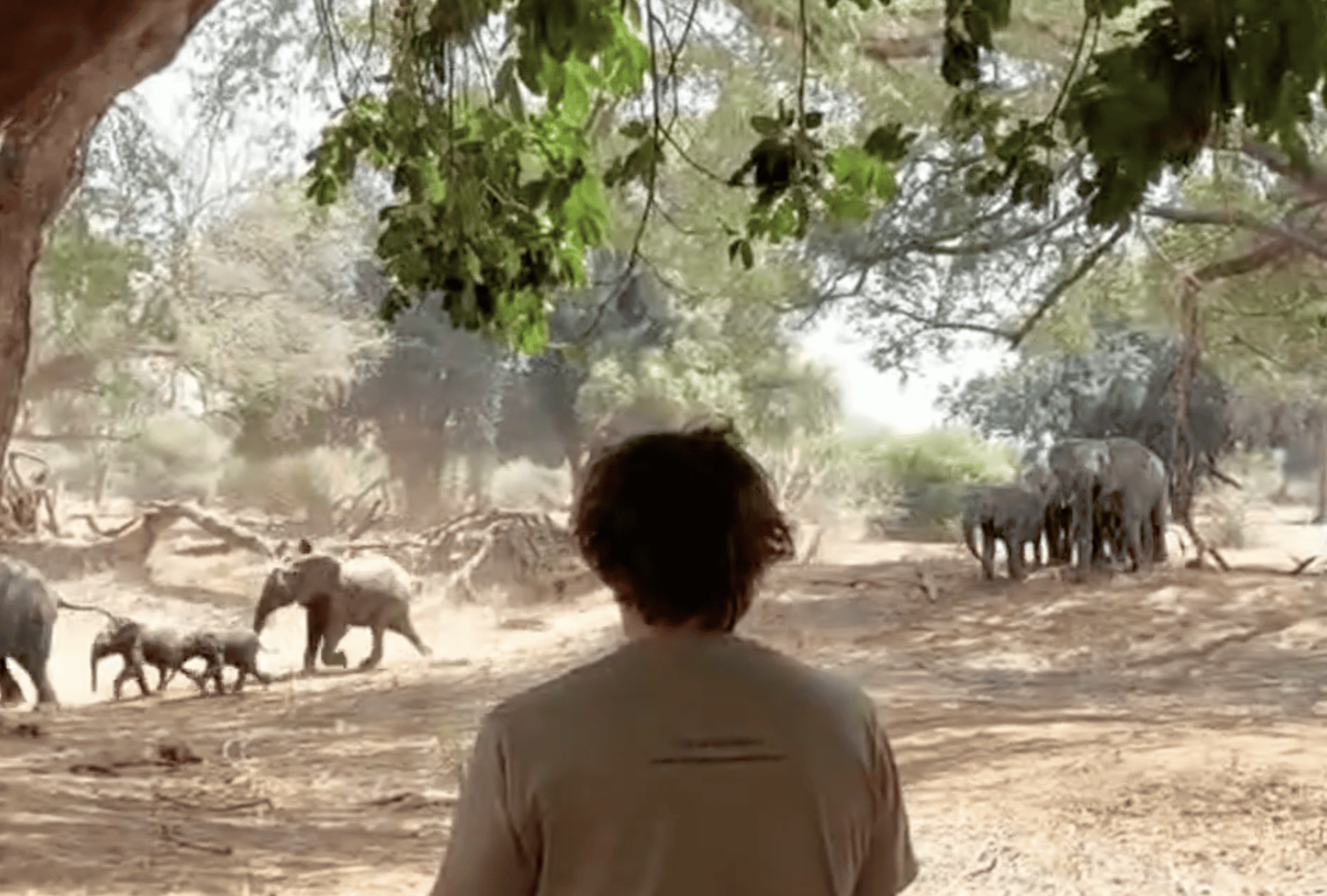 Angry Elephant Charges Safari Rangers And Turns At The Last Second ...