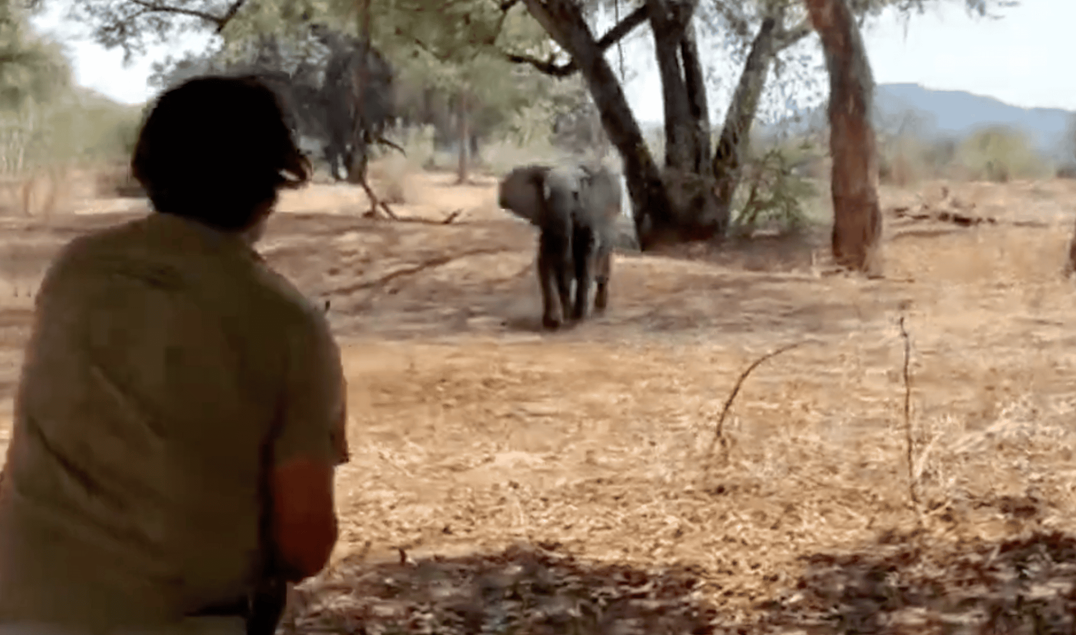 Angry Elephant Charges Safari Rangers And Turns At The Last Second ...