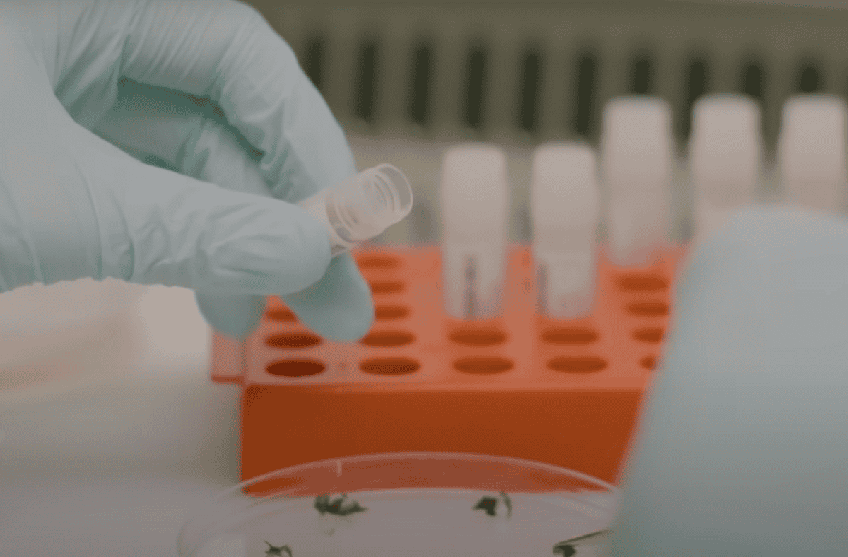 Taking A Closer Look Inside The Growing Business of Pet Cloning ...