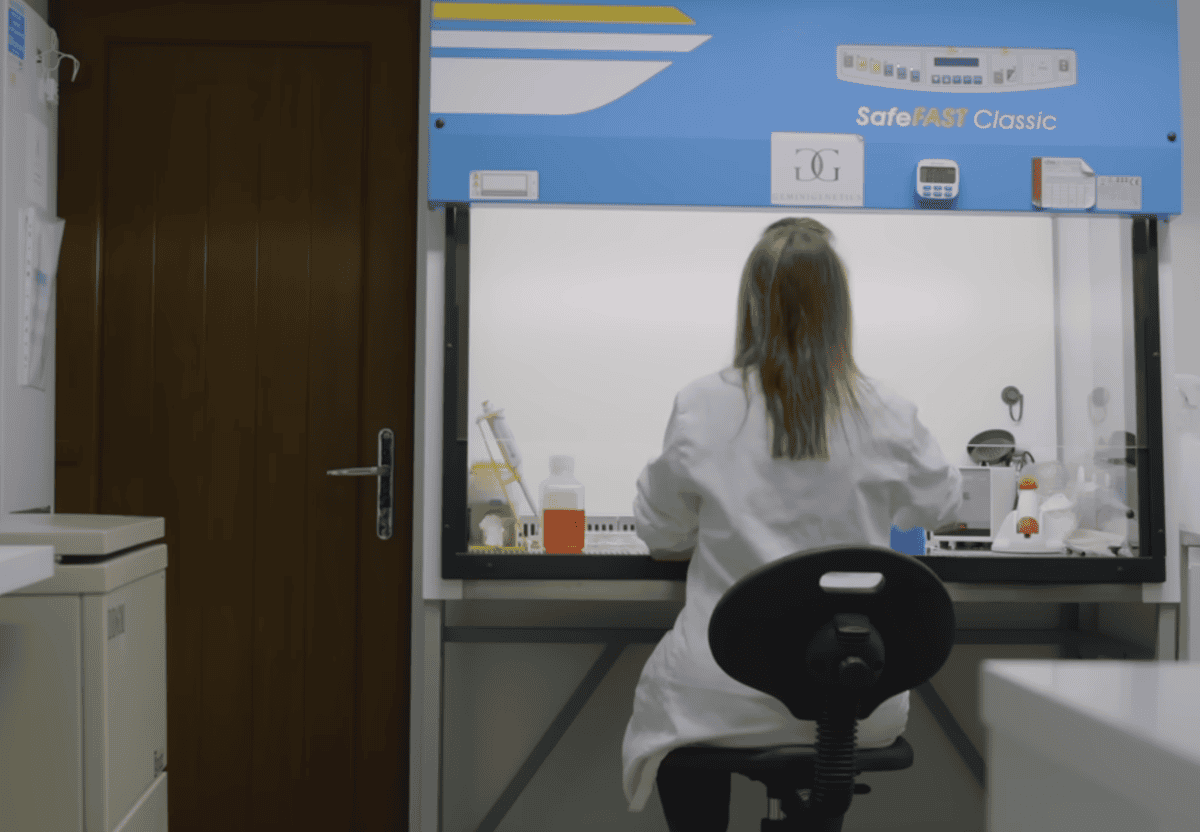 Taking A Closer Look Inside The Growing Business of Pet Cloning ...
