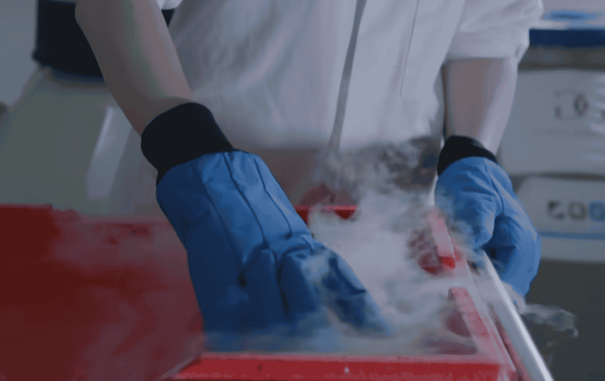 Taking A Closer Look Inside The Growing Business of Pet Cloning ...