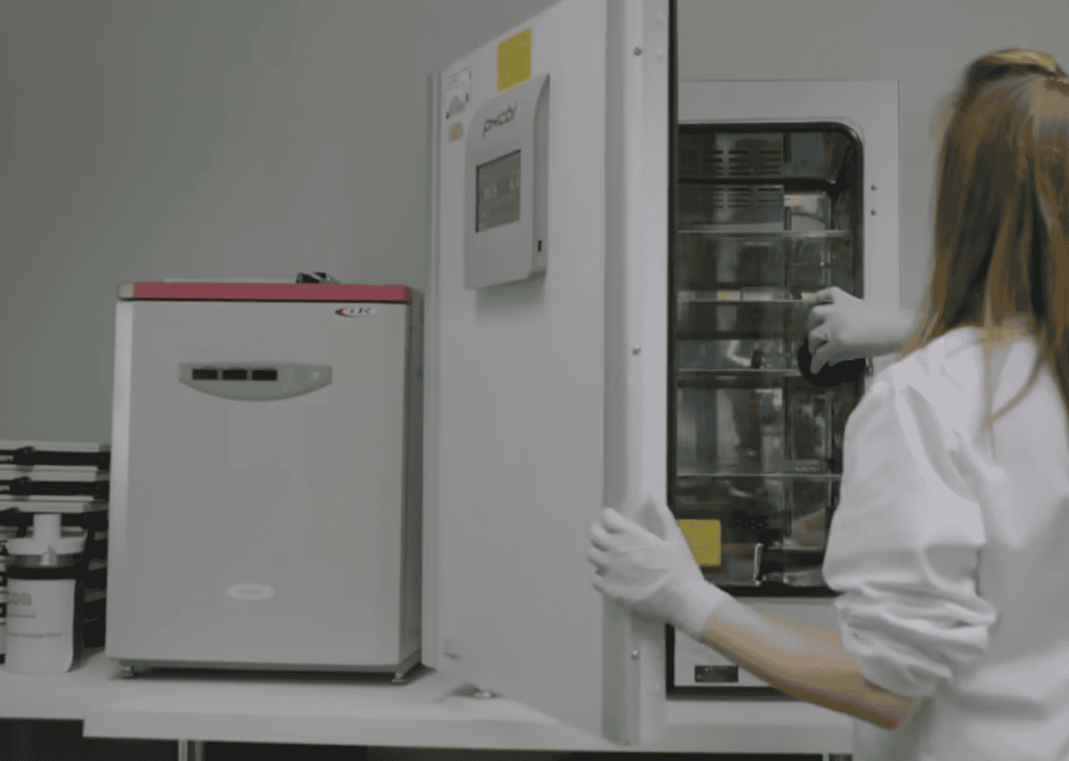 Taking A Closer Look Inside The Growing Business of Pet Cloning ...
