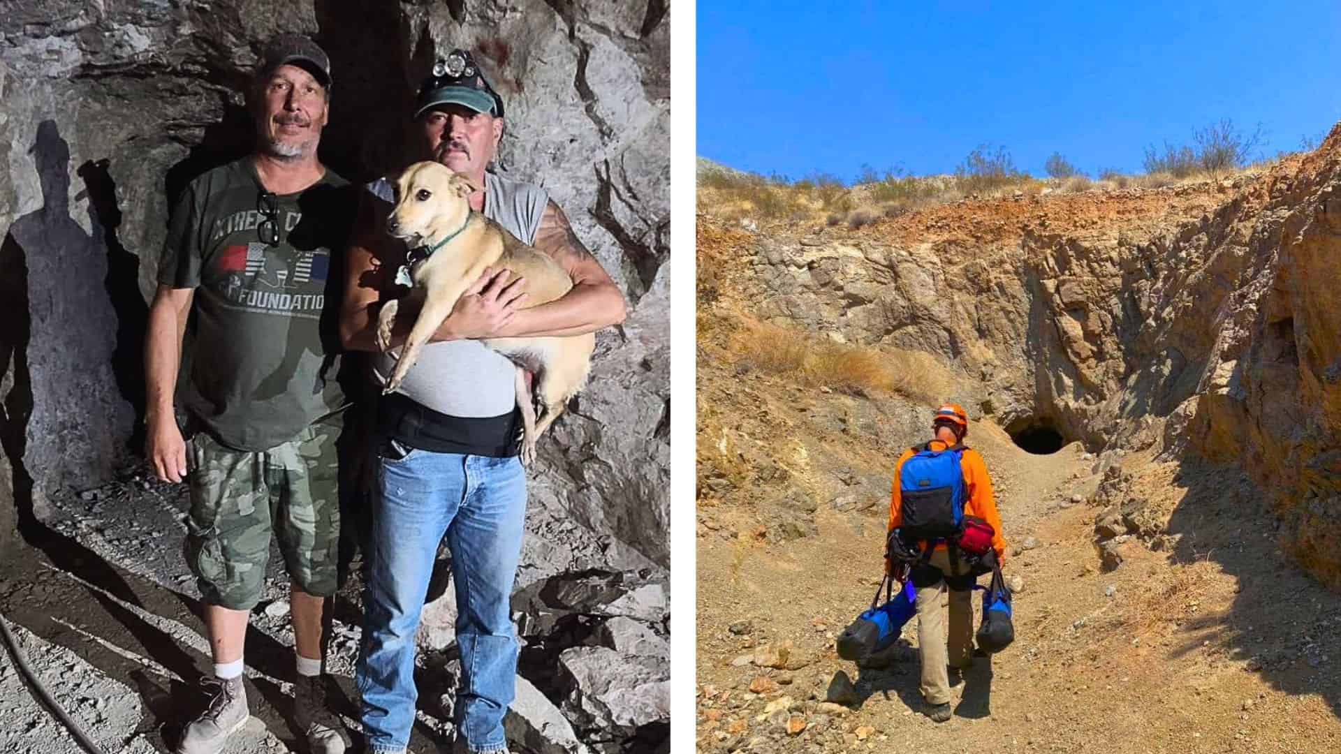 1-Year-old Dog Survives a 100-foot Fall Down a Mine Shaft in Arizona ...
