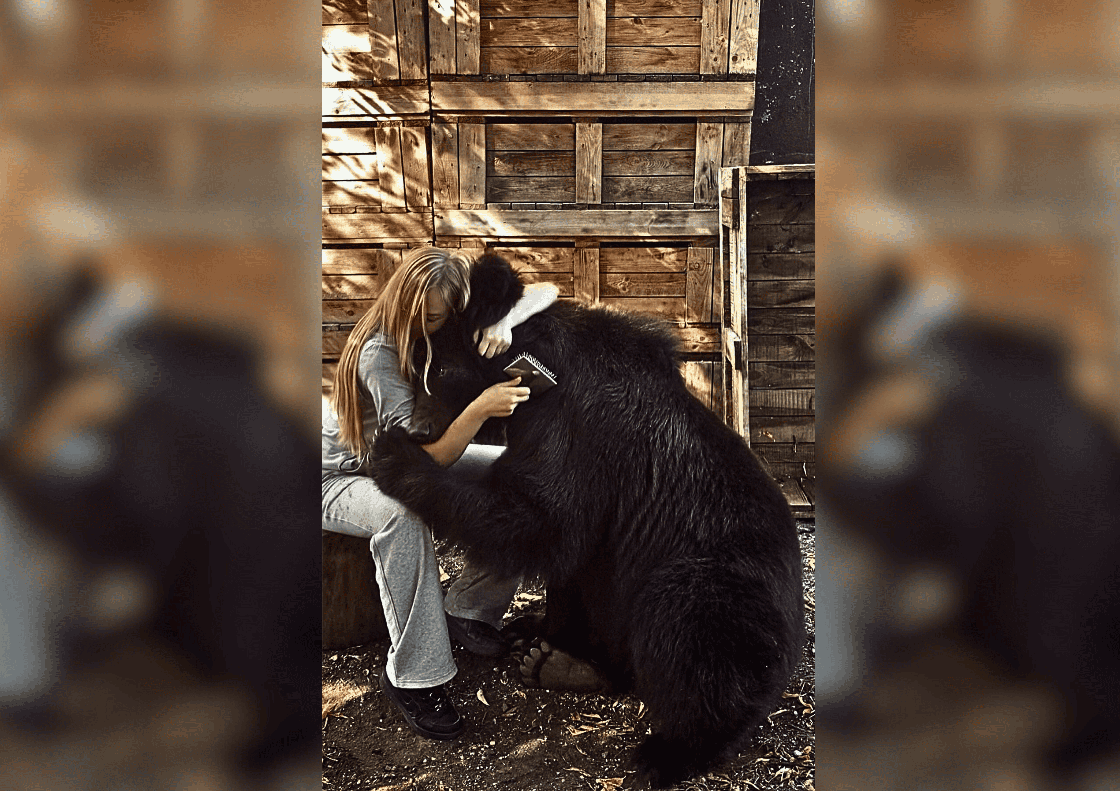 Russian Woman Rescued a Bear from a Bankrupt Zoo and Now They’re Best ...
