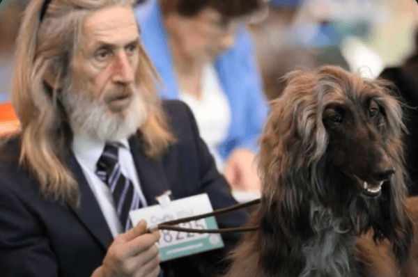 Exploring The Science Behind Dogs Resemblance and Personality To Their ...