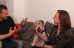 Exploring The Science Behind Dogs Resemblance and Personality To Their ...