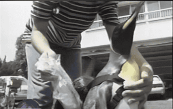 Lala, The Famous Penguin Who Went Shopping