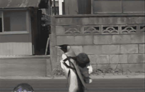 Lala, The Famous Penguin Who Went Shopping