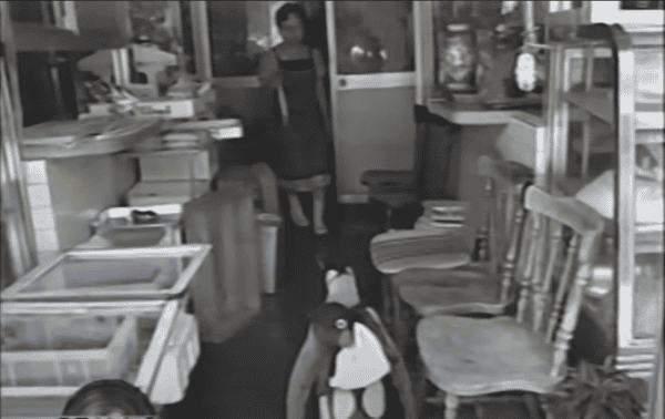 Lala, The Famous Penguin Who Went Shopping