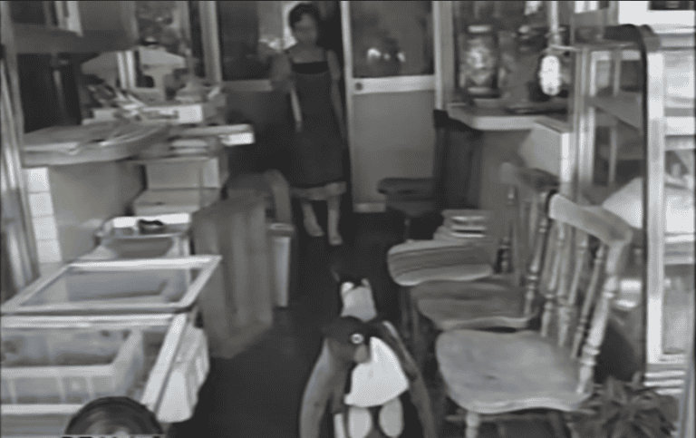 Lala, The Famous Penguin Who Went Shopping