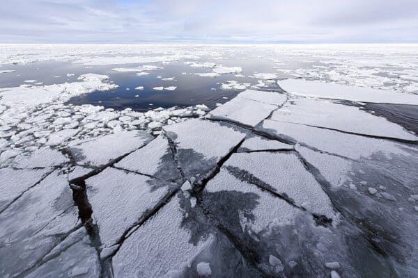The Global Threat of Rising Sea Levels and the Cities at Risk - Animals ...