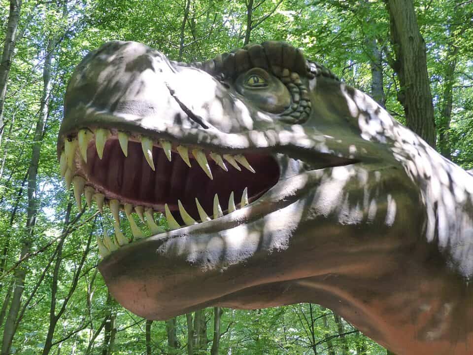 14 Animals With the Strongest Bite - Animals Around The Globe