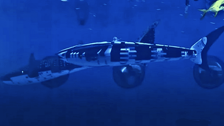 China Creates World’s First Intelligent Robotic Whale Shark - Animals ...