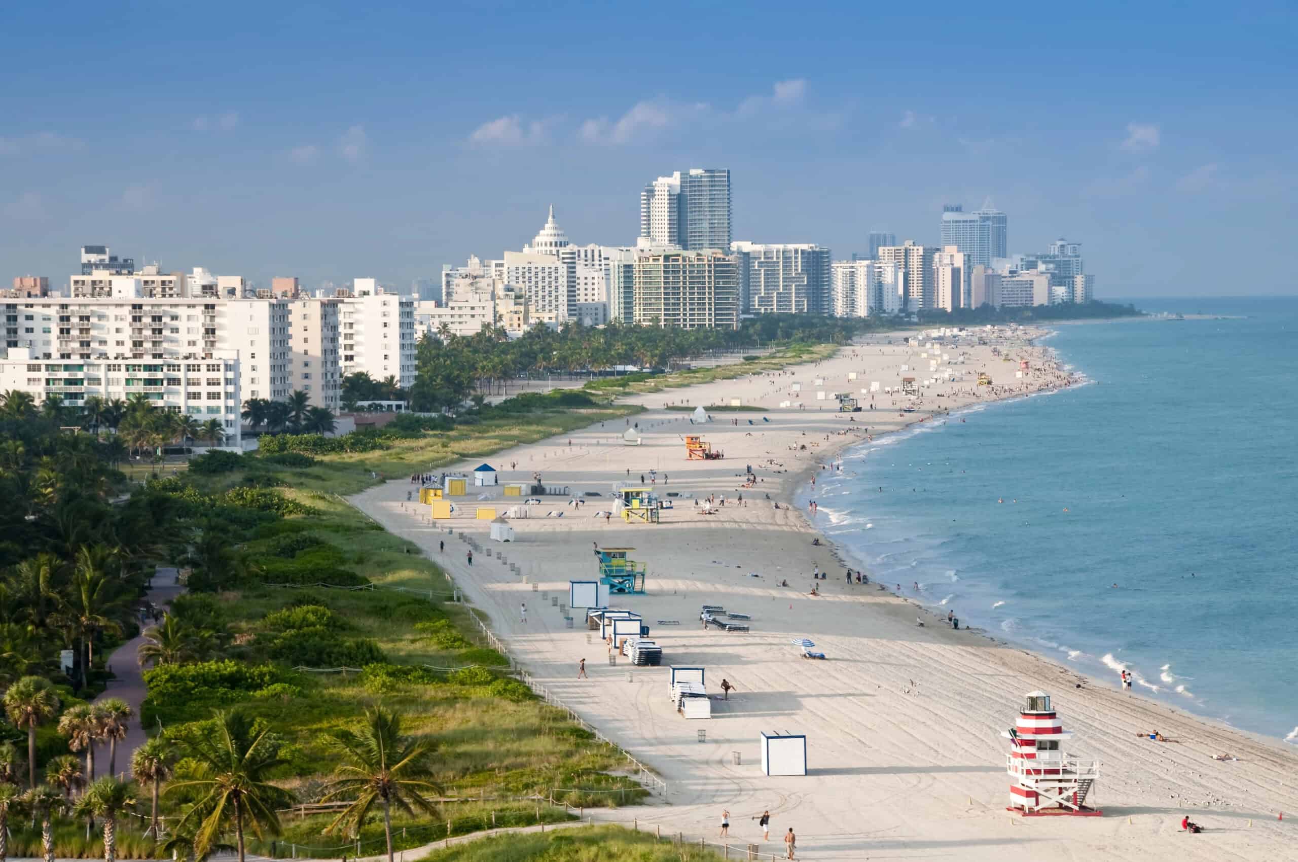 Terrifying Sea Creatures That Lurk Near Florida’s Beaches - Animals ...