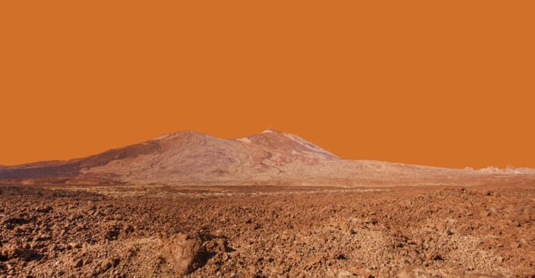 The Truth Behind the Mysterious 'Spiders' on Mars - Animals Around The ...