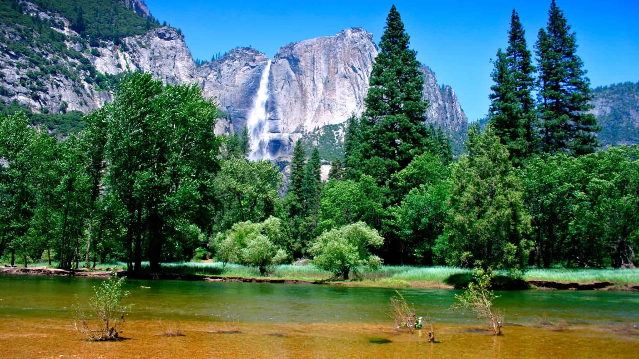 The Best States to Witness Migrating Monarch Butterflies - Animals ...
