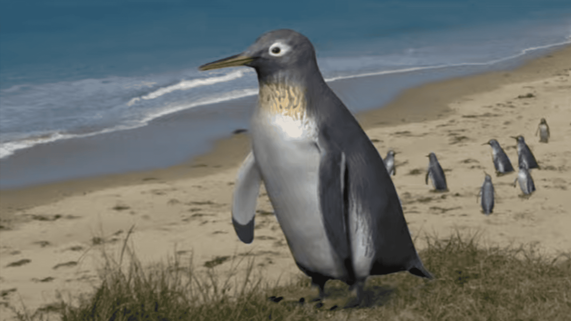 New Discovery of Ancient Fossils Is Missing Piece in Penguin Evolution ...