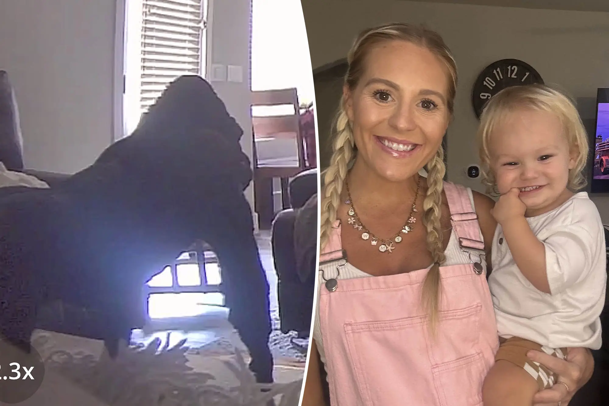 Giant Gorilla Spotted on Baby Monitor Causes Panic but Turns Out to Be ...