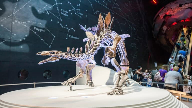 First Complete Dinosaur Fossil Ever Found Finally Makes History