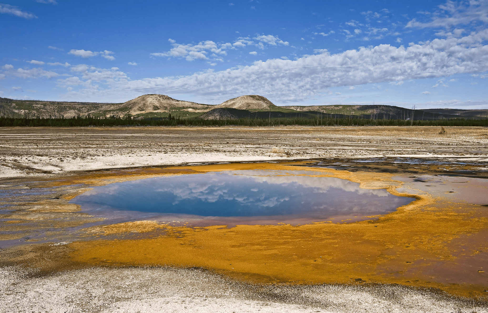 Scientists Found a Bacteria in Yellowstone That Eats Plastic - Animals ...